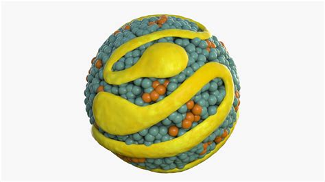 3d Low Density Lipoprotein Model Turbosquid 1958511