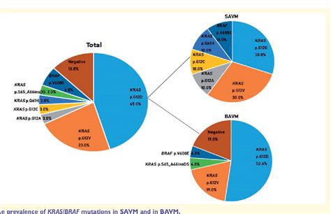Figure 3 From High Prevalence Of Krasbraf Somatic Mutations In Brain