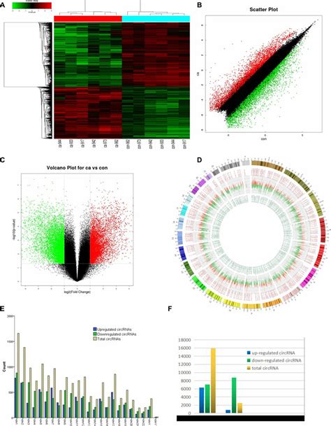 Circrna Expression Profile Differences Between Escc And Paired Adjacent