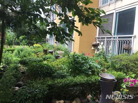 아파트 화단 꽃·나무 직접 심어 관리하세요