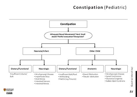 Pediatric Constipation Differential Diagnosis Algorithm Dietary