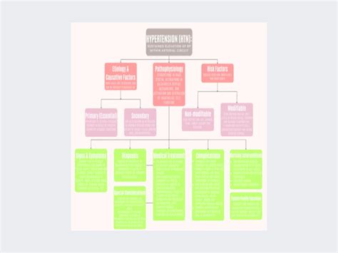 Hypertension Concept Map Etsy