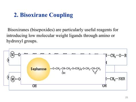 Affinity Chromatography Principles And Applications Ppt