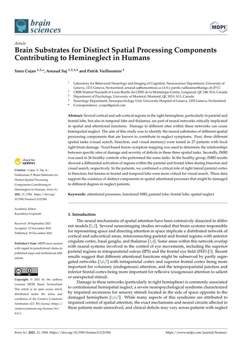 Pdf Brain Substrates For Distinct Spatial Processing Components Contributing To Hemineglect In