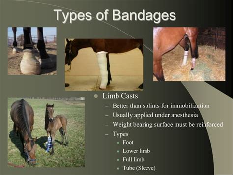 External Coaptation Ppt