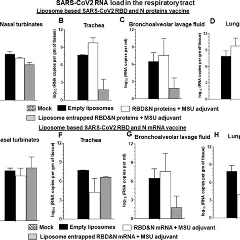 Detection Of Sars Cov 2 Rna Load In The Respiratory Tract Of Download Scientific Diagram