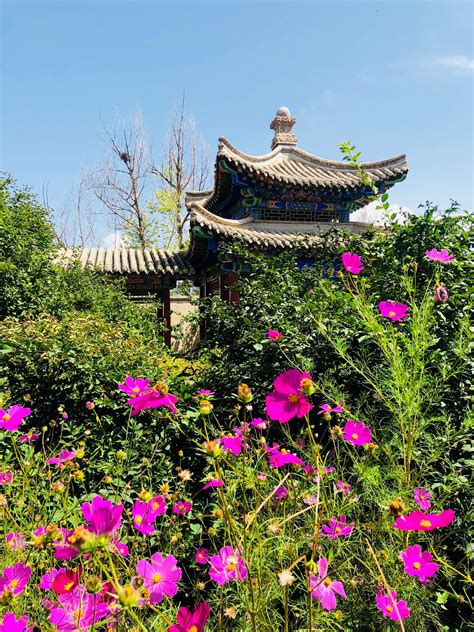 2025青海贵德玉皇阁游玩攻略 贵德县位于黄河谷地途中一 去哪儿攻略