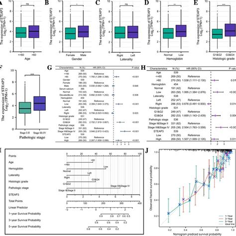 Clinical Correlation Analysis And Construction Of The Nomogram A F Box