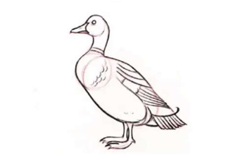 How To Draw A Duck Easy