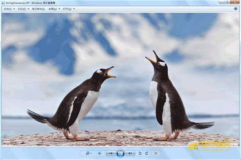 Tiff文件扩展名tiff是什么格式tiff文件怎么打开 文件百科 Tiff文件扩展名tiff是什么格式tiff文件怎么打开 文件百科