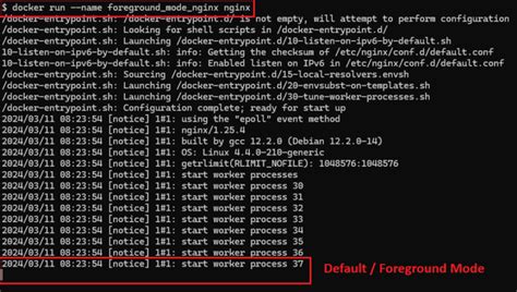 Attach And Detach From A Docker Container A Complete Guide