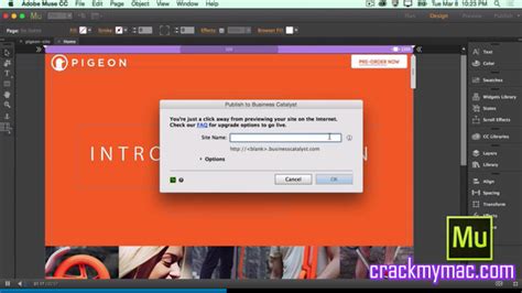 Adobe Muse Cc 2018 Crack Best Download Patch Final Version