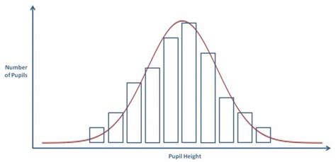 Bell Curve On Histogram In Excel Design Talk