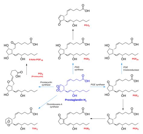 Yakiyol Blog Synthesis Reaction Examples
