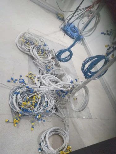 Structured Networking Solutions At Rs 5000day स्ट्रक्चरर्ड
