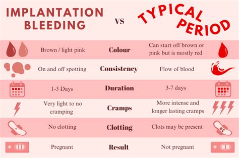 What Is Implantation Bleeding Teen Health Source