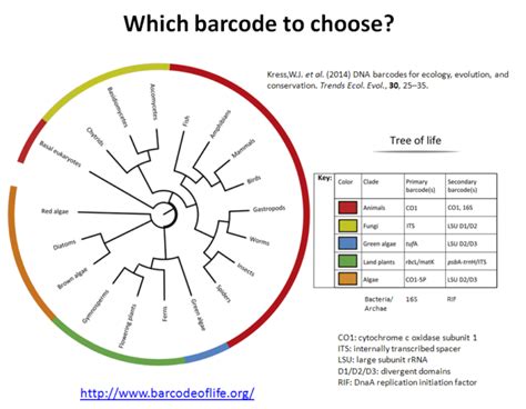 Amplicon Sequencing And High Throughput Genotyping Metagenomics