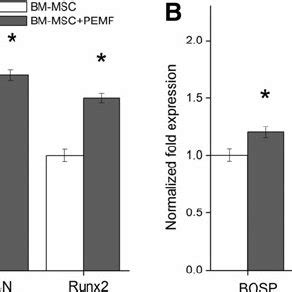 Radial Perfusion Bioreactor System A Scheme Of Basic Components And