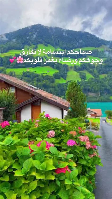 صباحكم إبتسامة لا تفارق وجوهكم ورضاء يغمر قلوبكم🌸💕