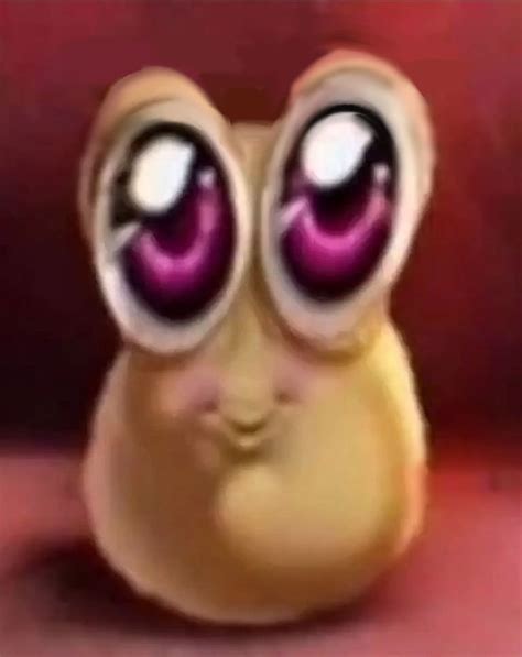 Discover 900 Goofy Ahh And Funny Memes Ideas On This Pinterest Board