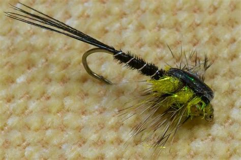 935 Best Images About Nymph Patterns On Pinterest Prince The Fly And Nymphs
