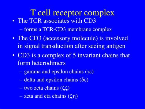 Ppt Immunology Chapter 11 Powerpoint Presentation Free Download Id