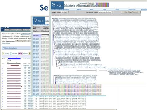 Ppt Ncbi Bioinformatics Workshop Powerpoint Presentation Free Download Id 1603357