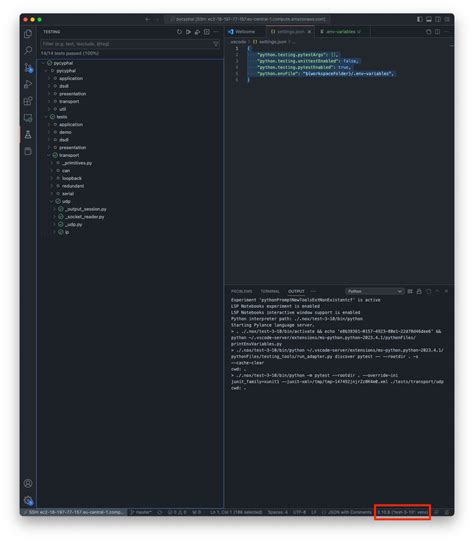 Development Setup Pycyphal Ubuntu Development And Maintenance