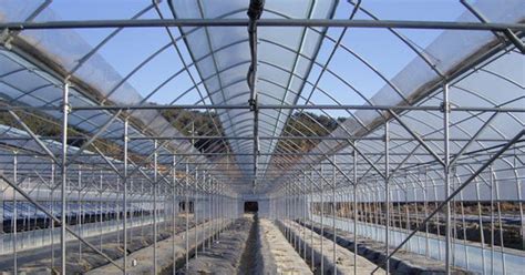 눈폭탄에도 끄떡없는 소형연동 비닐하우스