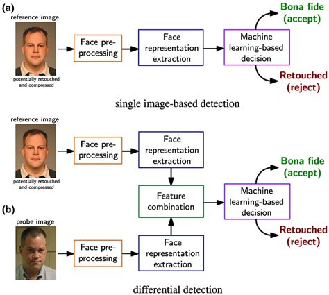 Facial Manipulation Detection Scenarios Download Scientific Diagram