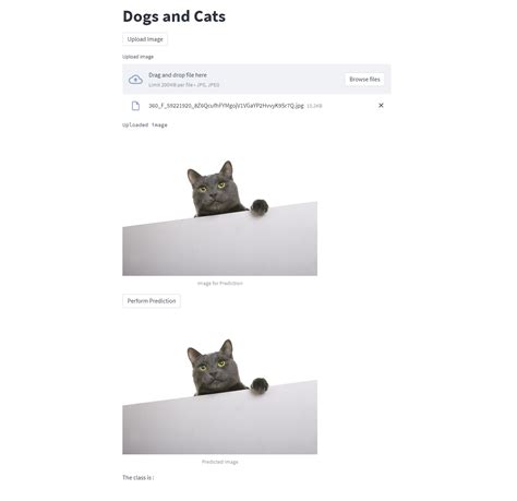 Streamlit Stfileuploader Returns None Stack Overflow