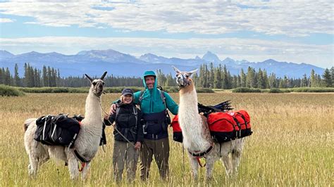 5 Best Llama Treks Wildland Trekking