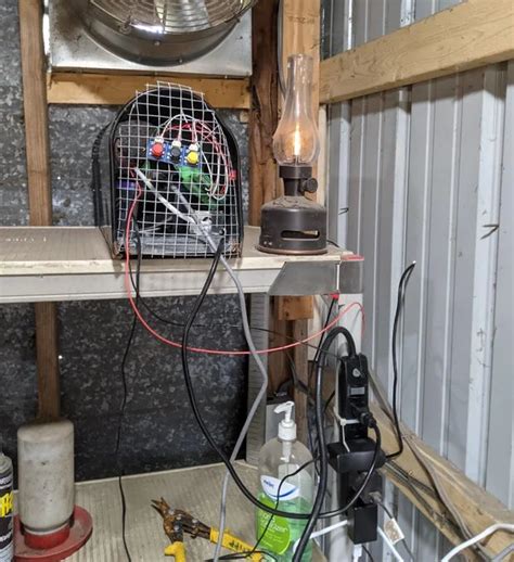 Raspberry Pi Protects Chickens Via Automated Coop Toms Hardware
