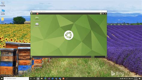 seed migrate enum to table with entity framework catrina codes