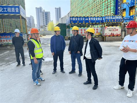 市建管中心组织开展质量安全标准化现场观摩交流学习活动 管理 人员 结构