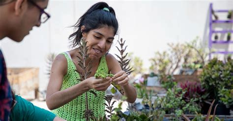 Conadis Presenta Programa De Cursos Y Talleres Gratuitos Para Jóvenes