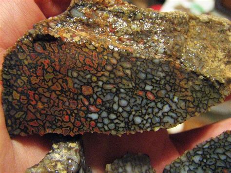 Inside Fossilized Dinosaur Bone R Damnthatsinteresting