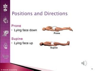 Introduction To Anatomy Anatomical Terms Ppt