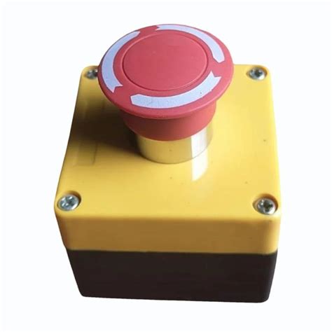 Elevator Pit Switch At ₹ 175 Piece पिट स्विच In Jaipur Id 2852639753097