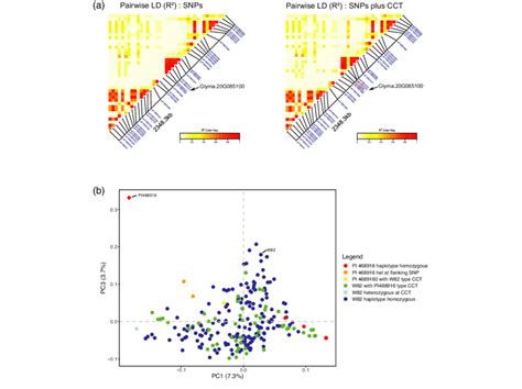 Population Biology Of The Insertion Deletion Indel Polymorphism At
