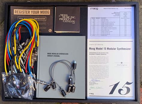 Moog System Reissue RL Music