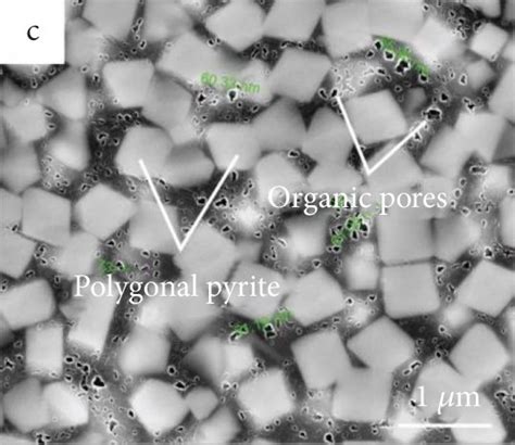 Different Types Of Nanoscale Pores In The Marine Shale A Organic Download Scientific Diagram