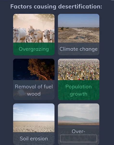 Factors Causing Desertification Overgrazing Studyx