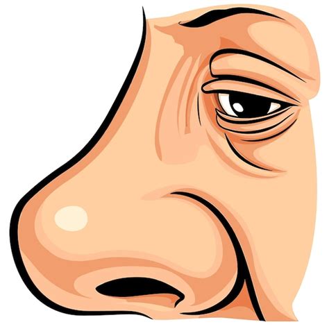 Cartoon Nose Cartoon Noses Set Stock Illustration Download Image Now