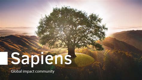 Как создать красивую презентацию в Powerpoint пошаговая инструкция