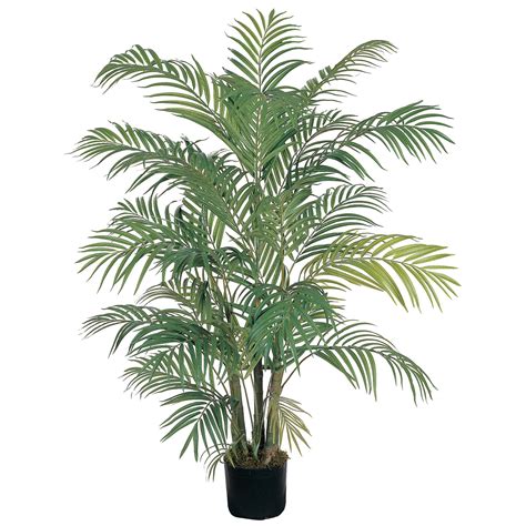 4 Foot Areca Palm Tree Potted 5001