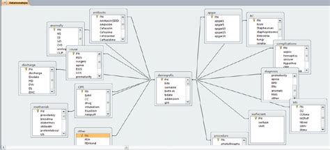 Entities And Their Relations In Developed Data Model Download Scientific Diagram