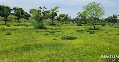 김해 술뫼파크골프장 9월 재개장시 직영 운영