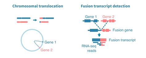 Rna Sequencing Data Analysis Genevia Technologies