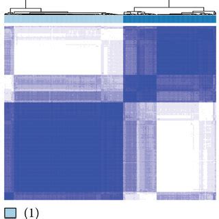 Consensus Clustering Analysis Considering The Prognosis Of TNBC Cell